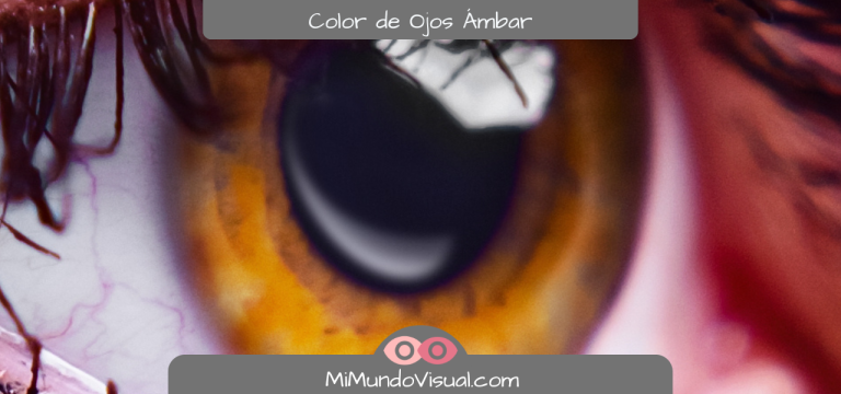 What Eye Colors Are There? - Mi Mundo Visual