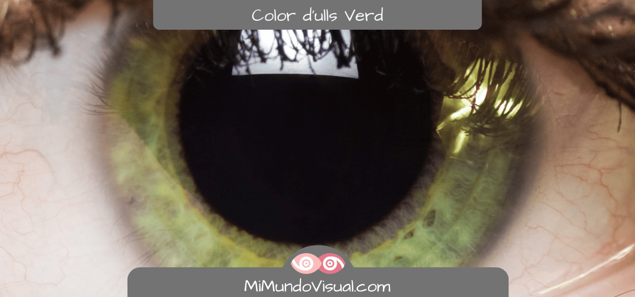 Quin Color D'Ulls Hi ha? - Mi Mundo Visual