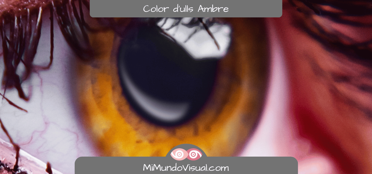 Quin Color D'Ulls Hi ha? - Mi Mundo Visual