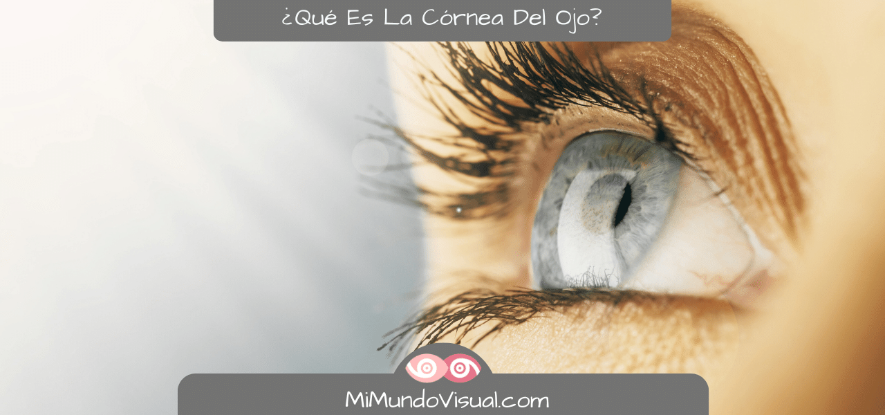 ¿Qué Es La Córnea Del Ojo? - Mi Mundo Visual